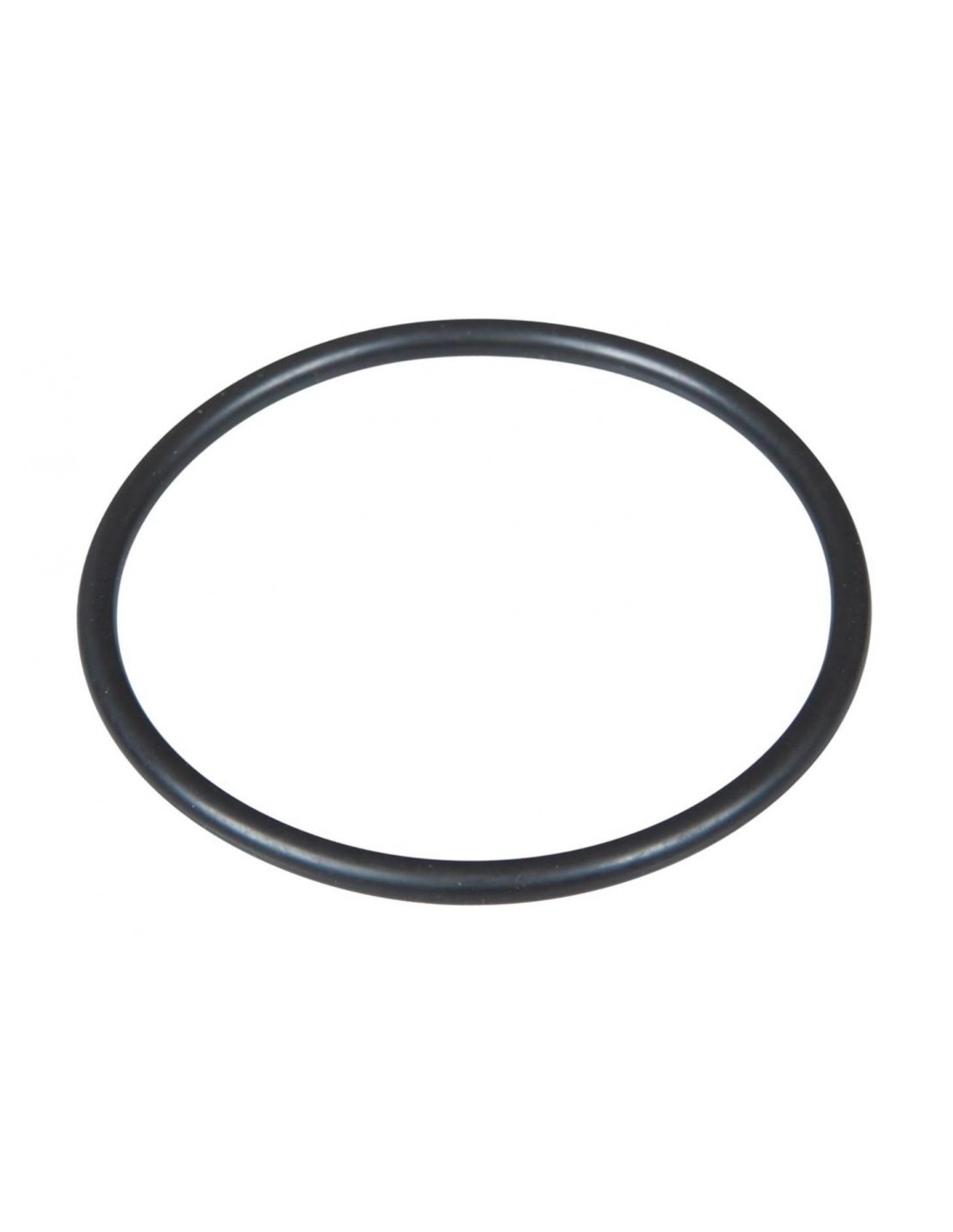 Nissan Juke Fuel Pump Tank Seal - 17342-79900 | Nissan Parts