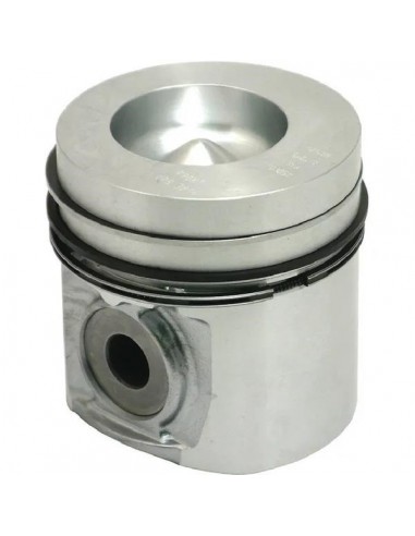 Piston cu Segmenti Ø 101.41 mm A77410, 3802060, 3906223, 3802040